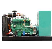 China 50KW Natural Gas Biogas LPG Generator Set with Soundproof Canopy IP23 Protection Class for sale