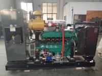 China 50KW Natural Gas Biogas LPG Generator Set with Soundproof Canopy IP23 Protection Class for sale
