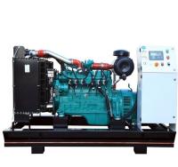 China 50KW Natural Gas Biogas LPG Generator Set with Soundproof Canopy IP23 Protection Class for sale