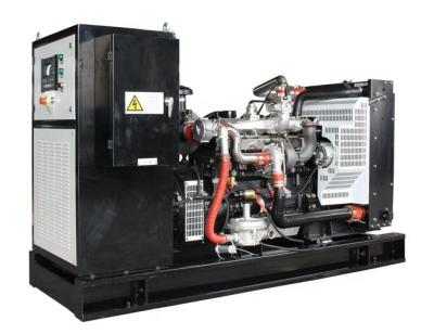 China IP23 Protection Class Gas Generator Set 10kw 1000kw for Electric Power Generation for sale