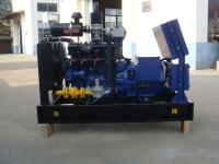 China CE/ISO Certified 10kw 15kw 22kw Small Biogas Gas Electricity Generator Cogeneration Plant for sale