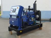 China CE/ISO Certified 10kw 15kw 22kw Small Biogas Gas Electricity Generator Cogeneration Plant for sale