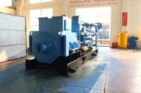 China 800kw 1000kva Silent Natural Gas Power Plant Generator Set with IP23 Protection Class for sale