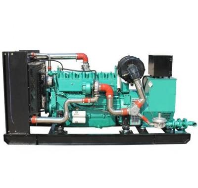 China Electrical Start 200kw Natural Gas/Biogas/Lpg Generator with 50HZ/60HZ Frequency for sale