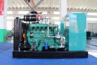 China 100% Pure Copper Brushless Alternator Gas Generator Plant for CHP/CNG/Biogas 10-500kW for sale