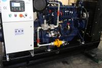 China Good 100kw Natural Gas/Biogas Power Generator with 1500RPM Speed and CE/ISO Approval for sale