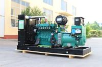 China 100% Pure Copper Brushless Alternator 200KW Natural Gas Generator for Power Generation for sale