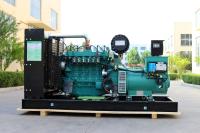 China 100% Pure Copper Brushless Alternator 200KW Natural Gas Generator for Power Generation for sale