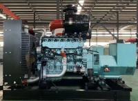 China 250kw Biomass Generator/ Methane Gas Generator/ Farm Animal Waste Biogas Generator for sale