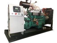 China Electrical Start 60kw Water Cooled Natural Gas Generator Set 75kva by CNG PLG and Biogas for sale