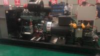 China Doosan Weichai Sinotruk 160kw 200kva Biogas Natural Gas Electric Silent Power Generator for sale