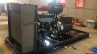 China UK Engine Power By Sinotruk Weichai 250kw Biogas Methane Lpg Natural Gas Generator Set Power Plant CE/ISO9001 for sale
