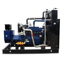 China 216A Rated Current 120kW Natural-biogas Cogeneration Biomass Power Plant in 50/60hz for sale