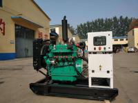 China 16kw/20kva Gas Engine Genset for Natural Gas/Biogas/LPG Generator at IP23 Protection Class for sale