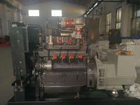 China 16kw/20kva Gas Engine Genset for Natural Gas/Biogas/LPG Generator at IP23 Protection Class for sale