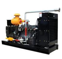 China 36A Rated Current 10kw-500kw Gas Generator for Biogas Methane Natural Gas and LPG Fuel for sale