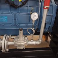 China 36A Rated Current 10kw-500kw Gas Generator for Biogas Methane Natural Gas and LPG Fuel for sale