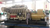 China 10kw 15kw 20kw 50kw to 300kw Silent LNG CNG Electric Natural Gas Engine Power Generator for sale