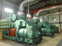 China Industrial 1MW Natural Gas Generator with CE/ISO9001 Certificate and IP23 Protection Class for sale