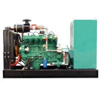 China IP23 Protection Class 60kW Natural Gas/Biogas/LPG/Syngas/Oil Gas/Coal Mine Gas Generator for sale