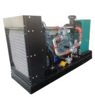 China 120kw Farm Animal Waste Biogas Generator Power Plant for Methane Gas Production for sale