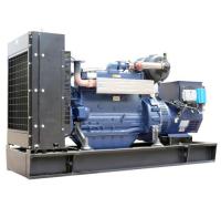 China 380/220v 50/60hz Rated Voltage Green Power Wood Pellet Electric Generator 500kva 400kw for sale