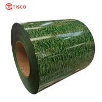China DX51D DX52D PPGI Prepainted Galvanized Steel Coil 20 - 1500mm Width for sale