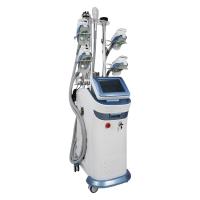 China Fat Freezing 360 Degree Cryolipolysis Slimming Machine Professional Body Contouring for sale