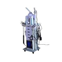 China 19 In 1 Hydra Dermabrasion Machine Water Oxygen Facial Lifting Skin Rejuvenation Beauty for sale