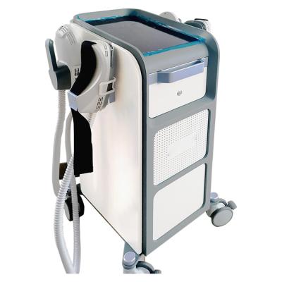 China CE 27.12 MHz Hiemt Muscle Em Sculpting Machine Fat Burning Body Slimming for sale