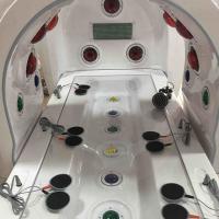 China 1500W 220V SPA Capsule Machine  Skin Tightening Spa Massage Detox for sale