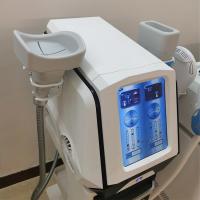 China 1000W Portable Cryotherapy Cryolipolysis Slimming Machine Freeze Fat Removal Cellulite for sale
