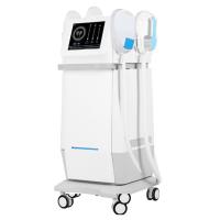 China Fat Burning Body Em Sculpt Neo Machine Arms Magnetic Muscle Stimulation Device for sale