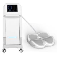 China Fat Burning Body Em Sculpt Neo Machine Arms Magnetic Muscle Stimulation Device for sale