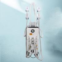China 360 Cryotherapy Cryolipolysis Slimming Machine 60HZ Radio Frequency Fat Removal for sale
