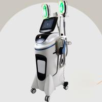 China Arms Cryolipolysis Fat Freeze Slimming Machine 800W Ems Muscle Radio Frequency Weight Loss for sale