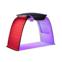 China CE 60Hz Led Pdt Light Therapy Device Facial Acne Scar Removal Machine Skin Care for sale
