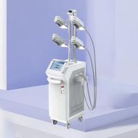 China Cryolipolysis Weight Loss Cryotherapy Fat Freezing Machine Cool Sculpting At Home for sale
