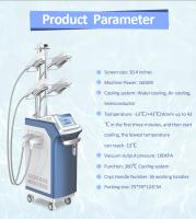China Cryolipolysis Weight Loss Cryotherapy Fat Freezing Machine Cool Sculpting At Home for sale