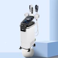 China 2 In 1 Fat Removal Cryo Cool Sculpting Body Sculptor Slimming Ems Body Sculpting for sale