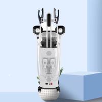 China 2 In 1 Fat Removal Cryo Cool Sculpting Body Sculptor Slimming Ems Body Sculpting for sale