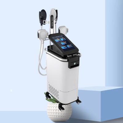 China 2 In 1 Fat Removal Cryo Cool Sculpting Body Sculptor Slimming Ems Body Sculpting for sale