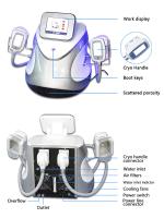 China 0.08Mpa Vacuum Portable Cryolipolysis Slimming Machine Cryotherapy Slimming Fat Freezing Machine for sale
