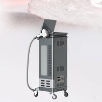 China Beauty 808 Women'S Painless Face Hair Removal Machine Permanent Salon Use for sale