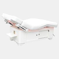 China Electric Spa Massage Bed Beauty Table 1500W Backrest Adjustable for sale