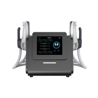 China Multifunctional Ems Sculpting Machine Weight Loss 300W - 4500W for sale