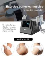 China Portable Pelvic Ems Sculpting Machine Air Cooling 4 Hanldes Fat Reduce Machine for sale