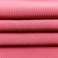 China Knitted Nylon Spandex Jacquard Fabric Plain Dyed For T-Shirt Pants for sale