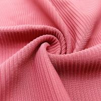 China Knitted Nylon Spandex Jacquard Fabric Plain Dyed For T-Shirt Pants for sale