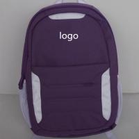 China Promotional Purple Outdoor Sports Backpack / Sports Back Pack for Hiking for sale